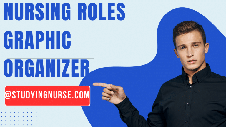 Nursing Roles Graphic Organizer Template for NUR 513