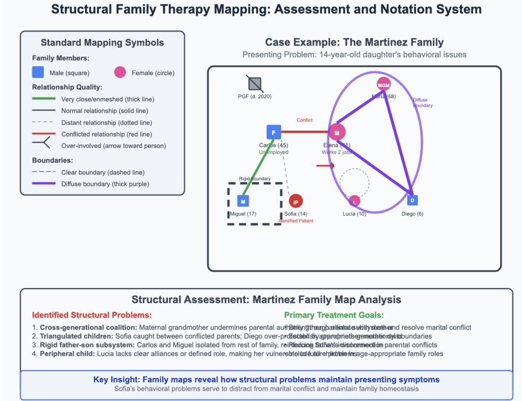 Structural Family Therapy: Mapping Techniques, Structural Maps and 3 ...