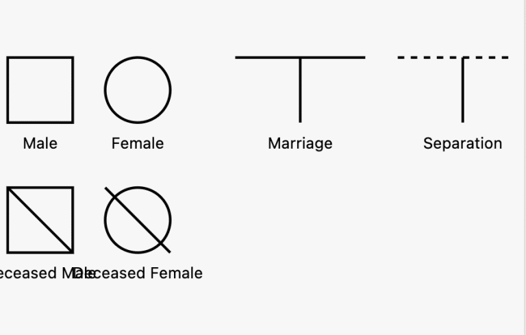 Differences between Genogram and Ecomap with Examples