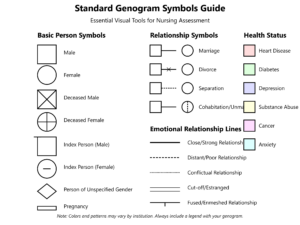 Differences between Genogram and Ecomap with Examples