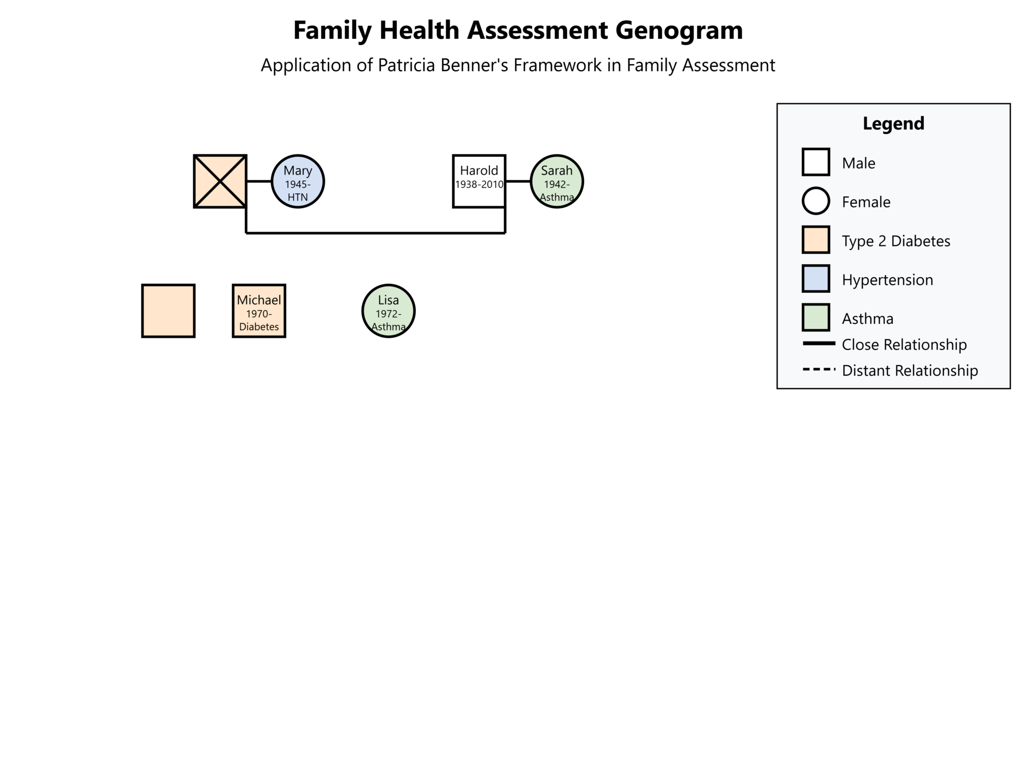 Family Genogram and Ecomap Examples in 2025