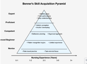 From Novice to Expert: Patricia Benner Nursing Theory | Nursing Expertise