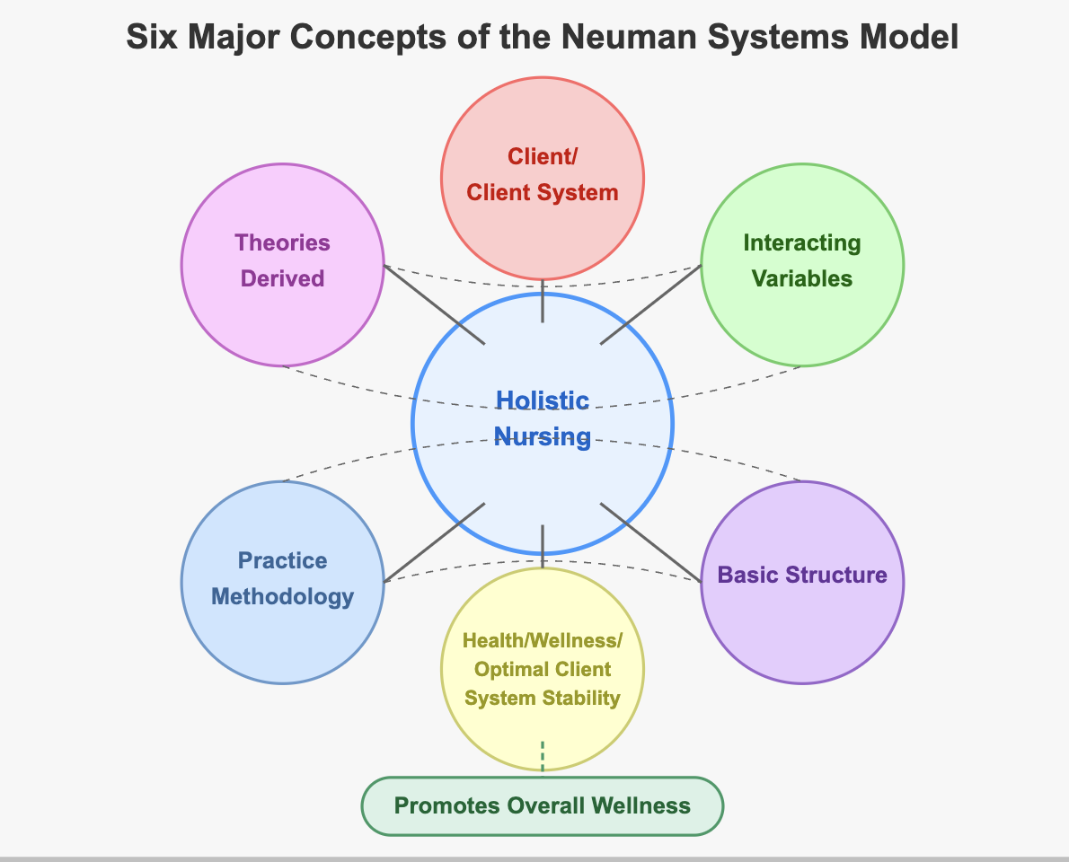 Betty Neuman Systems Model: Best Guide 2025