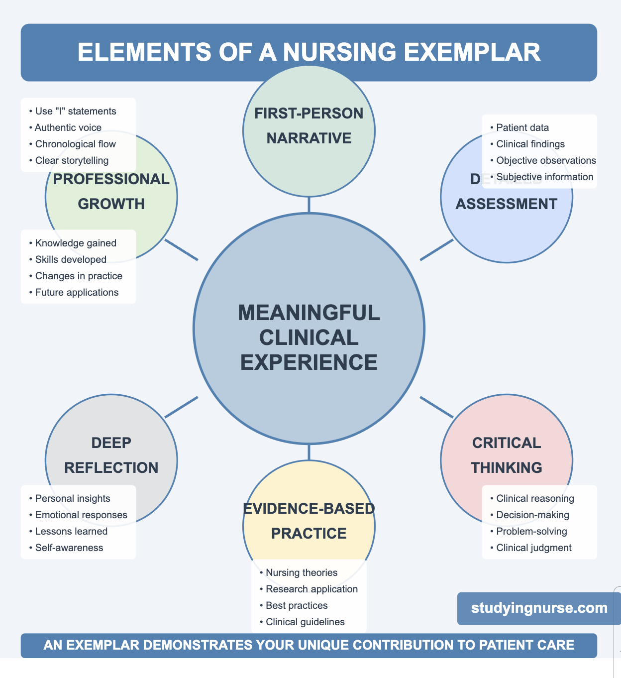 Nursing Exemplar Example: Guide with Examples