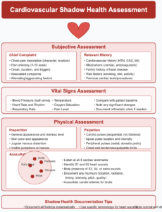 Tina Jones Cardiovascular Shadow Health Assessment: Best Guide for ...