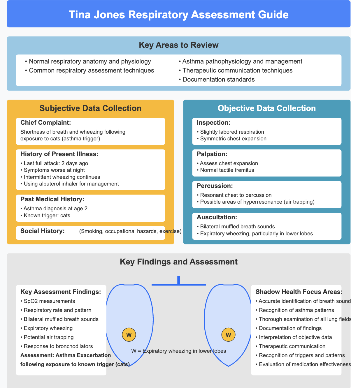 Tina Jones Respiratory Shadow Health Assessment Guide with an Example
