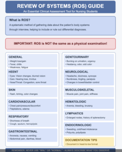 Nursing Exemplar Example: Guide with Examples
