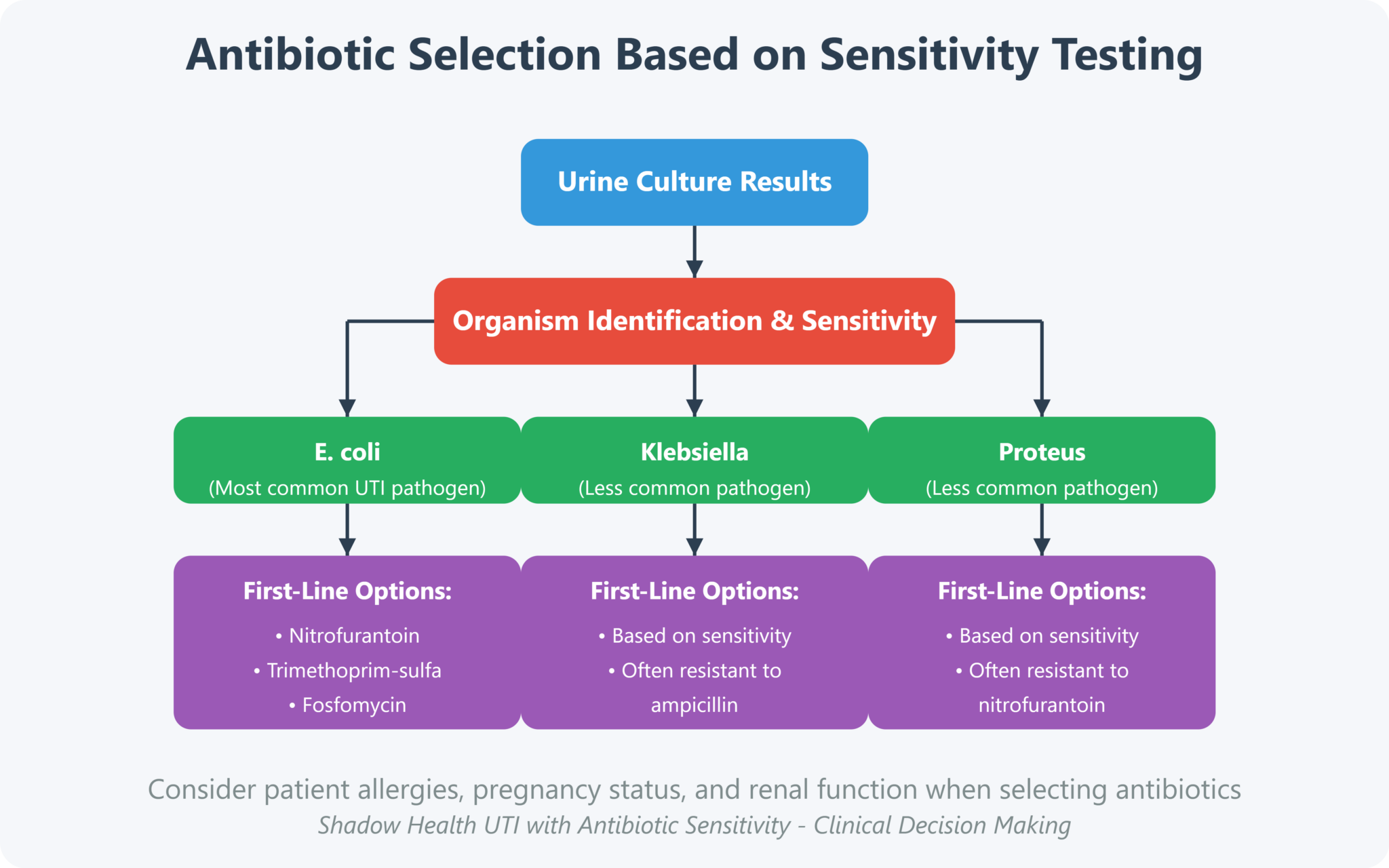 Shadow Health UTI with Antibiotic Sensitivity Focused Exam