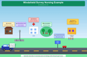 Windshield Survey Nursing Examples | 2 Useful Windshield survey examples