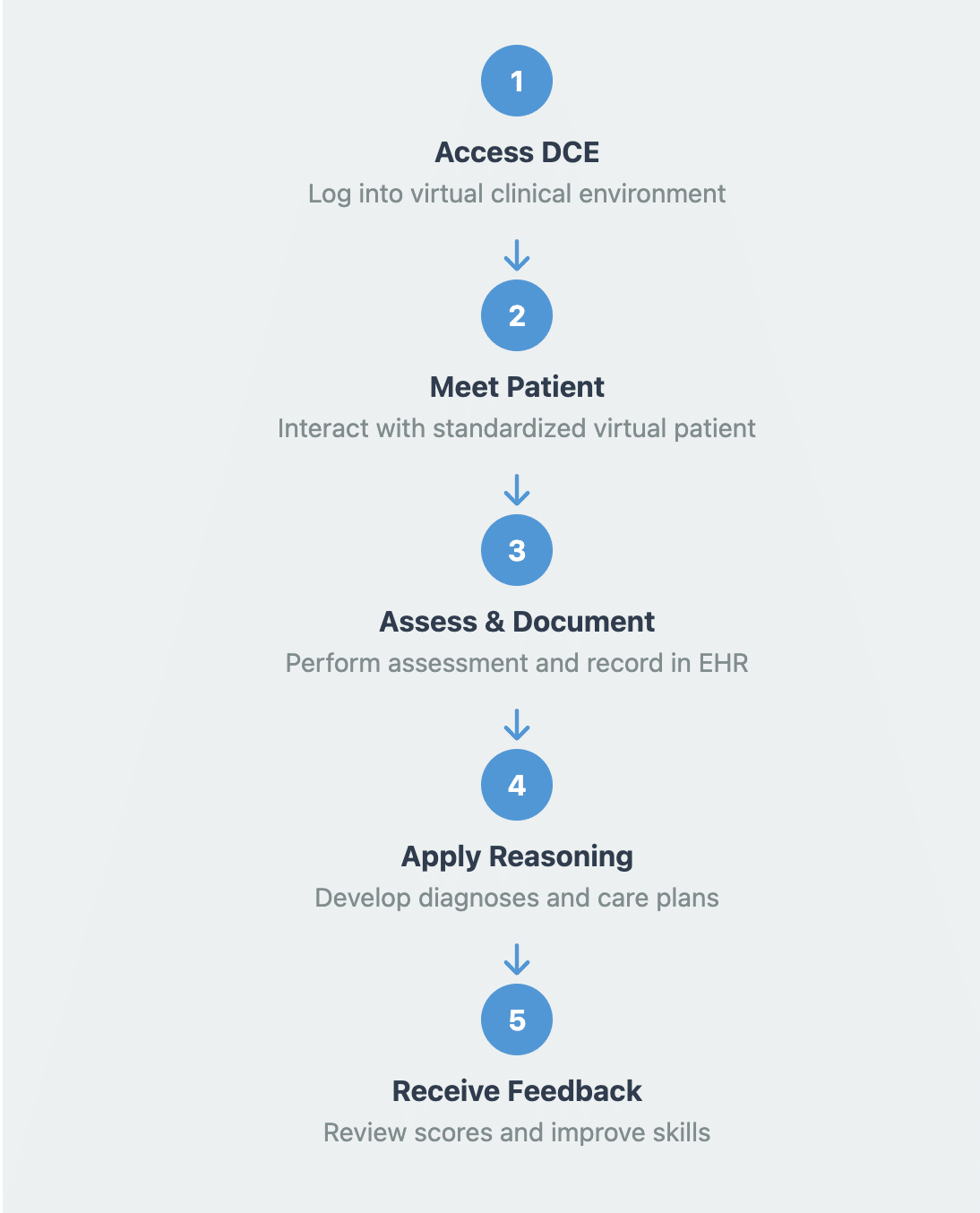 Shadow Health Assessment Help, Guide, and Best Tips for Success in 2025