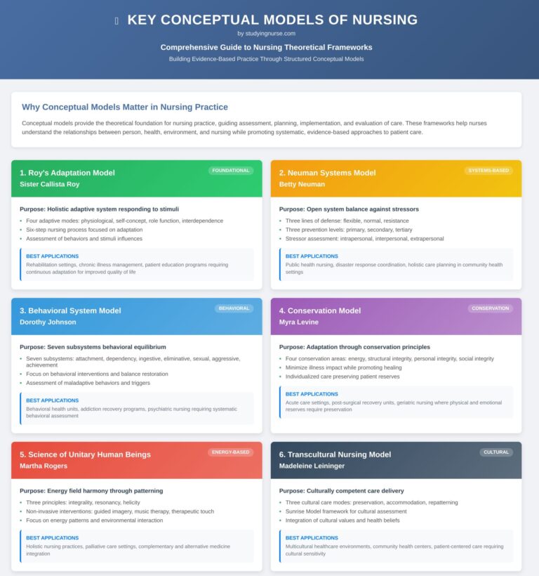 Conceptual Model Example Nursing Guide