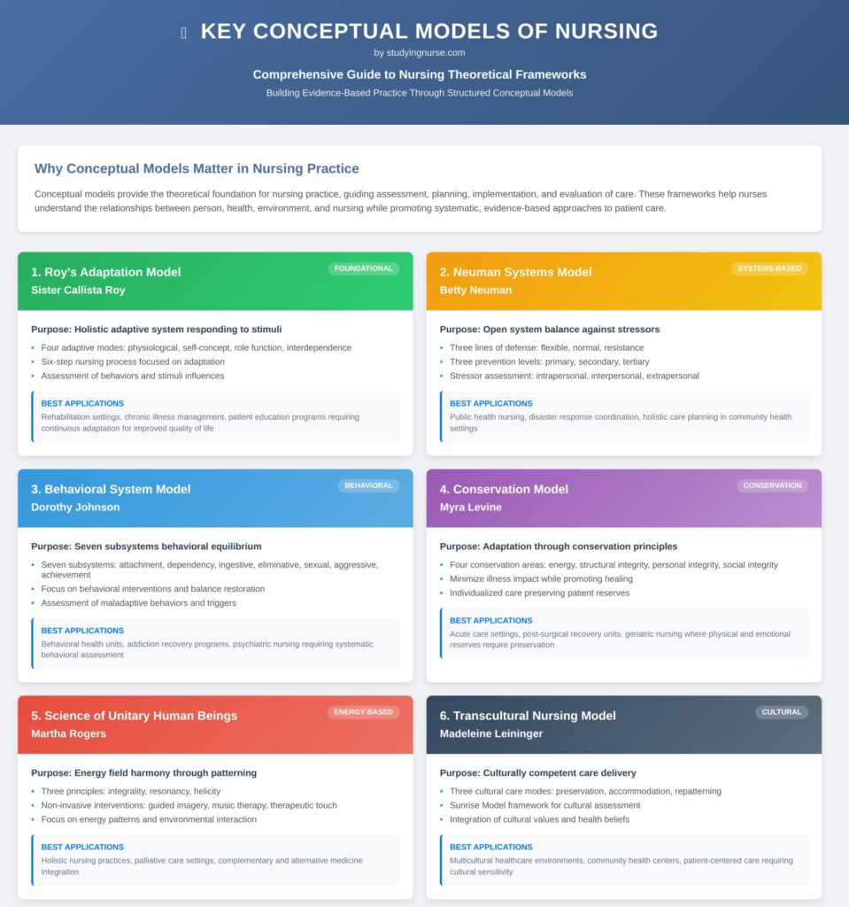 Conceptual Model Example Nursing Guide