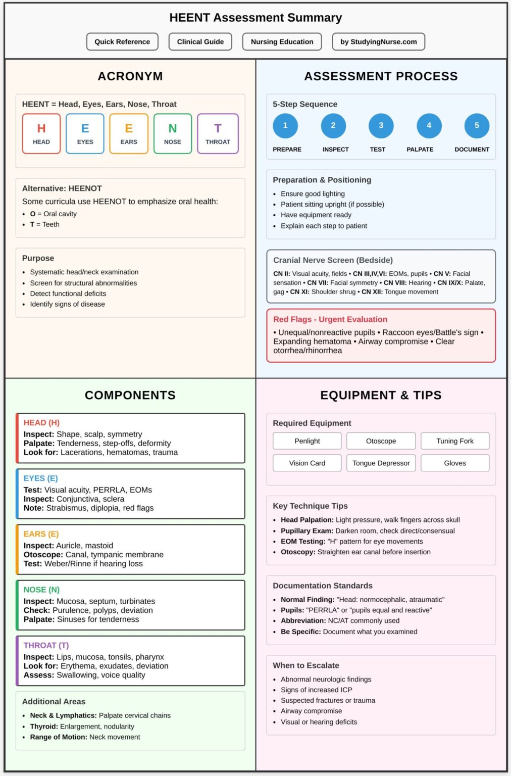 Normocephalic and Atraumatic Explained: Comprehensive HEENT Assessment ...