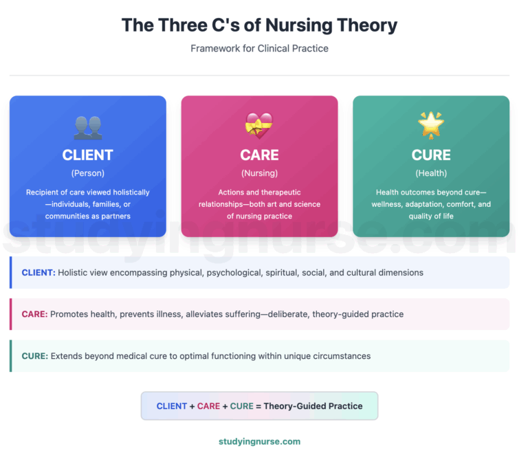 Nursing Theory, Nursing Theorist, Examples and Types of Nursing ...