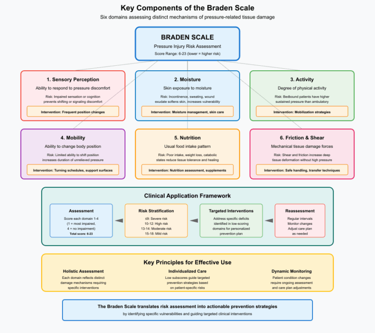 The Braden Scale and Pressure Injury Risk: A Step-by-Step Guide for ...