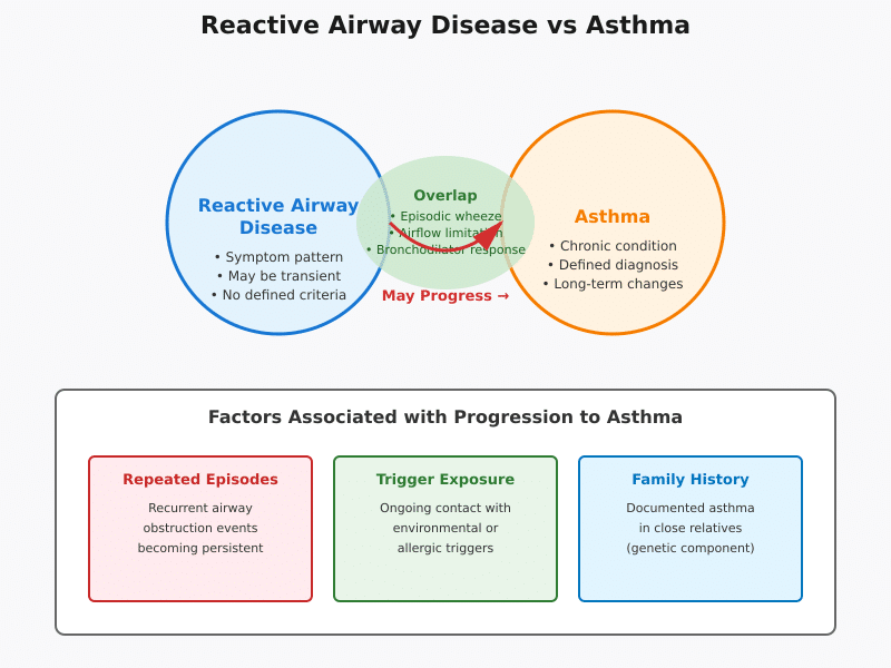Reactive Airway Disease Explained