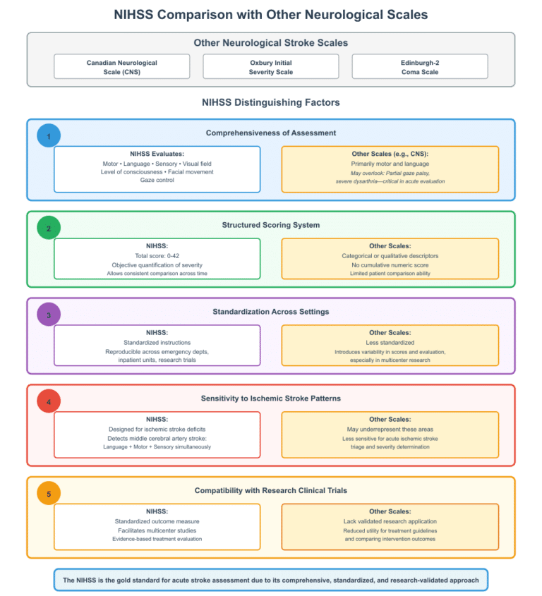 NIH Stroke Scales Explained: Understanding Stroke Scales and the ...