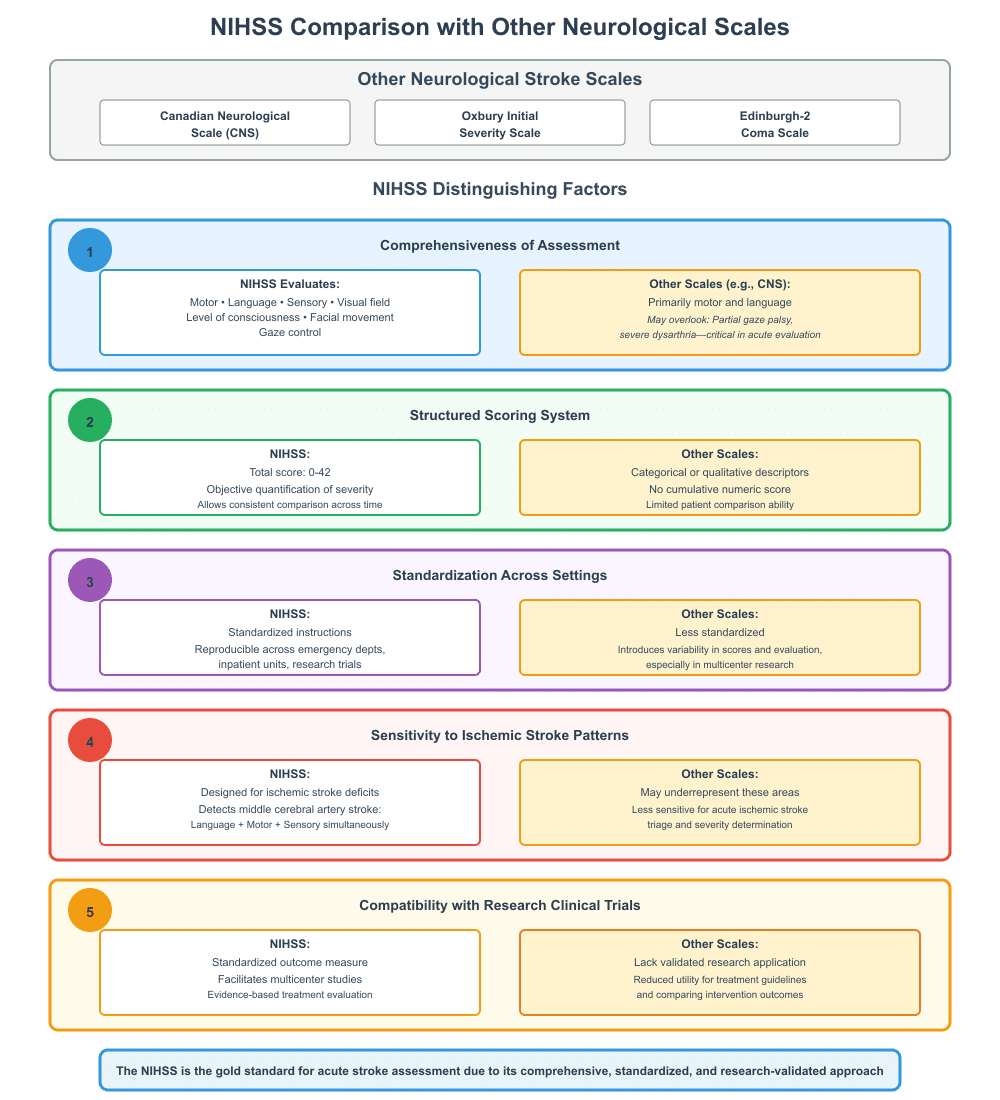 NIH Stroke Scales Explained: Understanding Stroke Scales and the ...