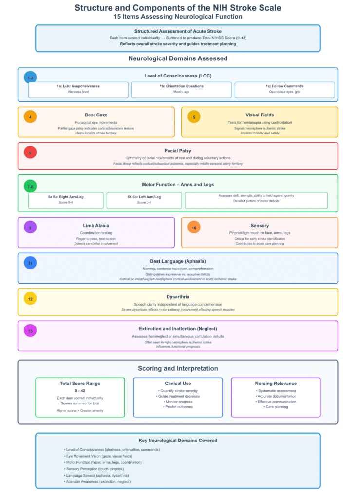 NIH Stroke Scales Explained: Understanding Stroke Scales and the ...