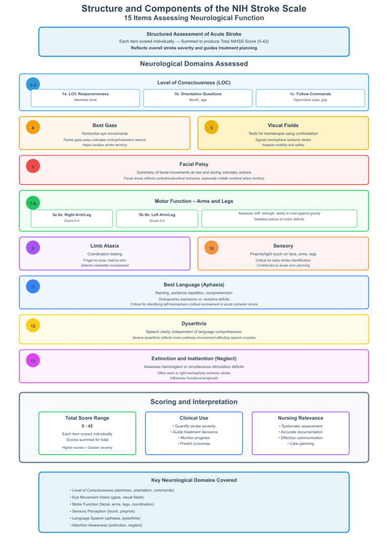 NIH Stroke Scales Explained: Understanding Stroke Scales and the ...