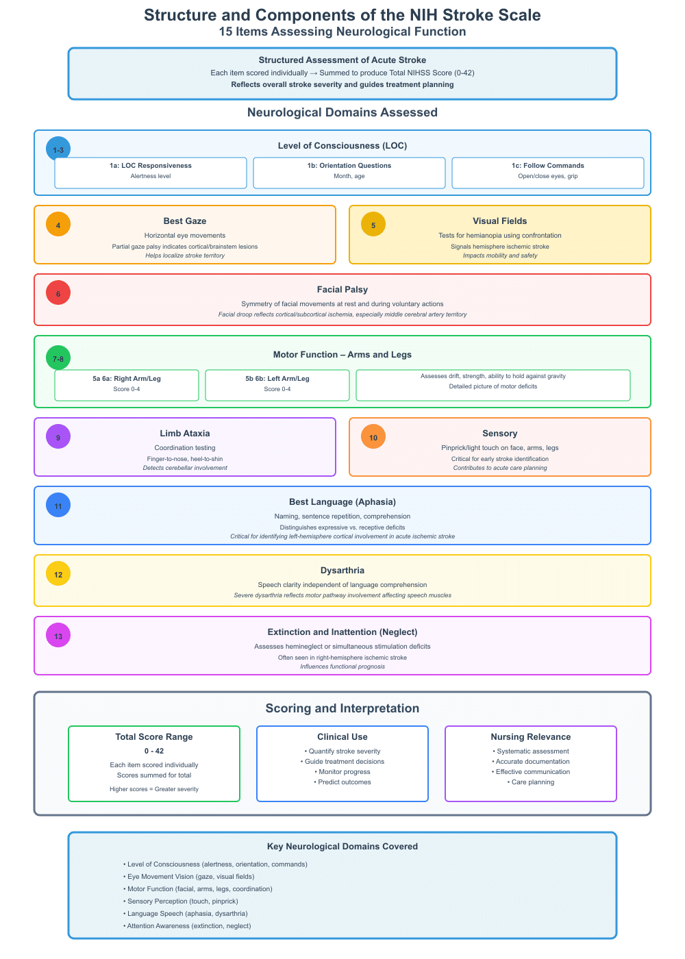 NIH Stroke Scales Explained: Understanding Stroke Scales and the ...